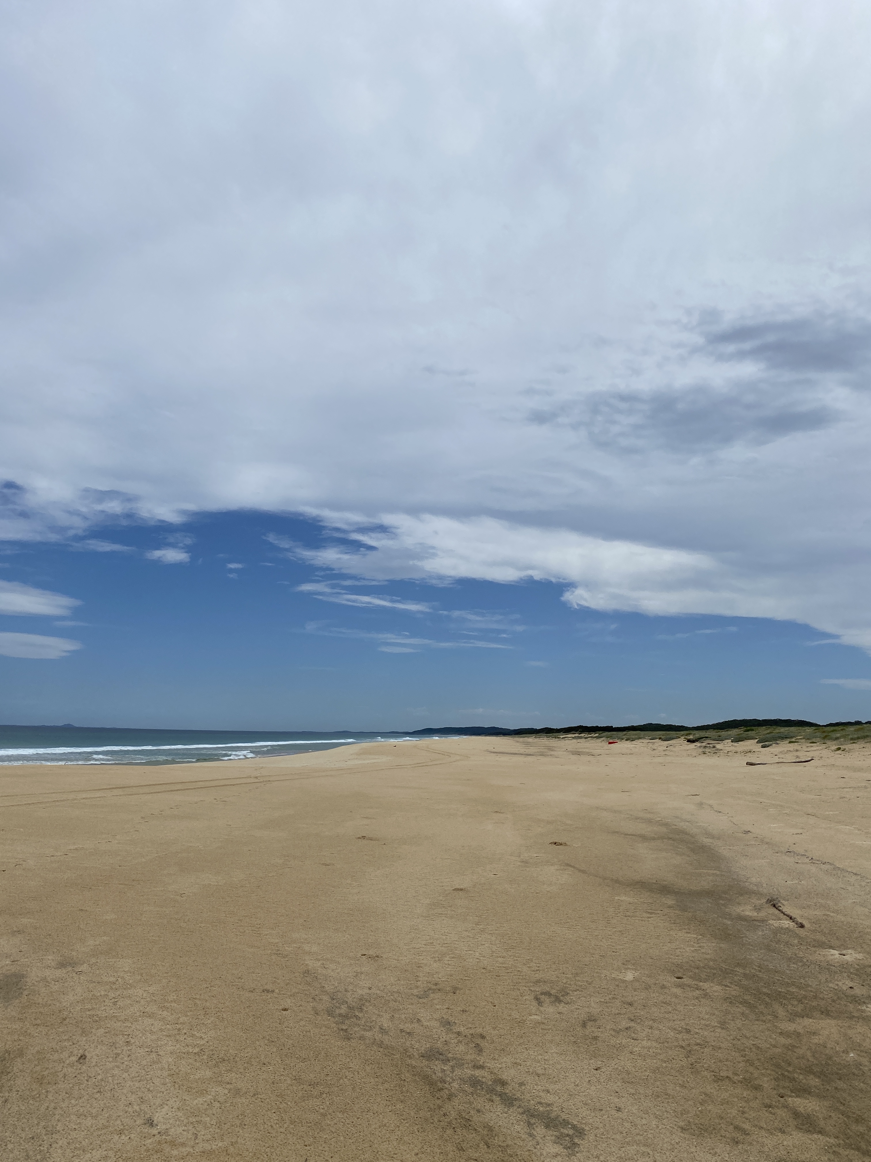On Fiona Beach – Jackson's Ephemera